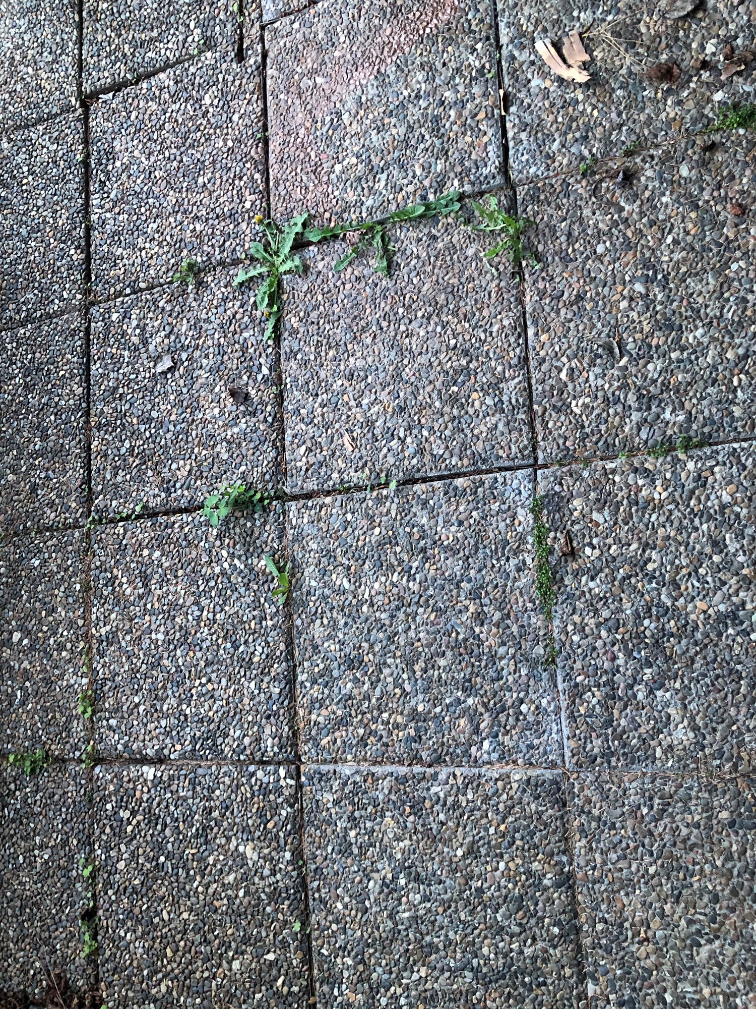 Lage platting oppå område med betongheller? - ByggeBolig