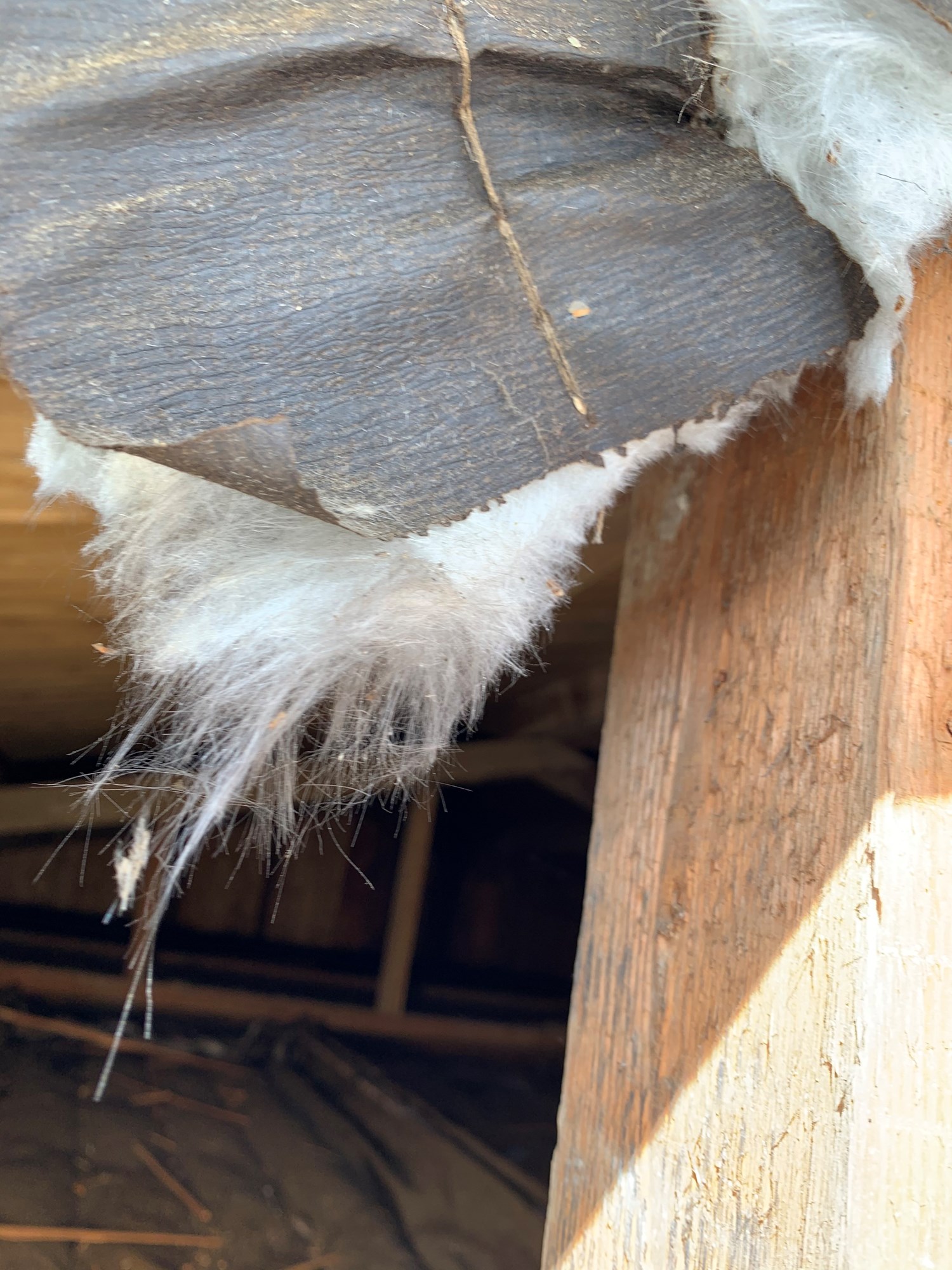 Asbest i isolasjonsmatter? - ByggeBolig