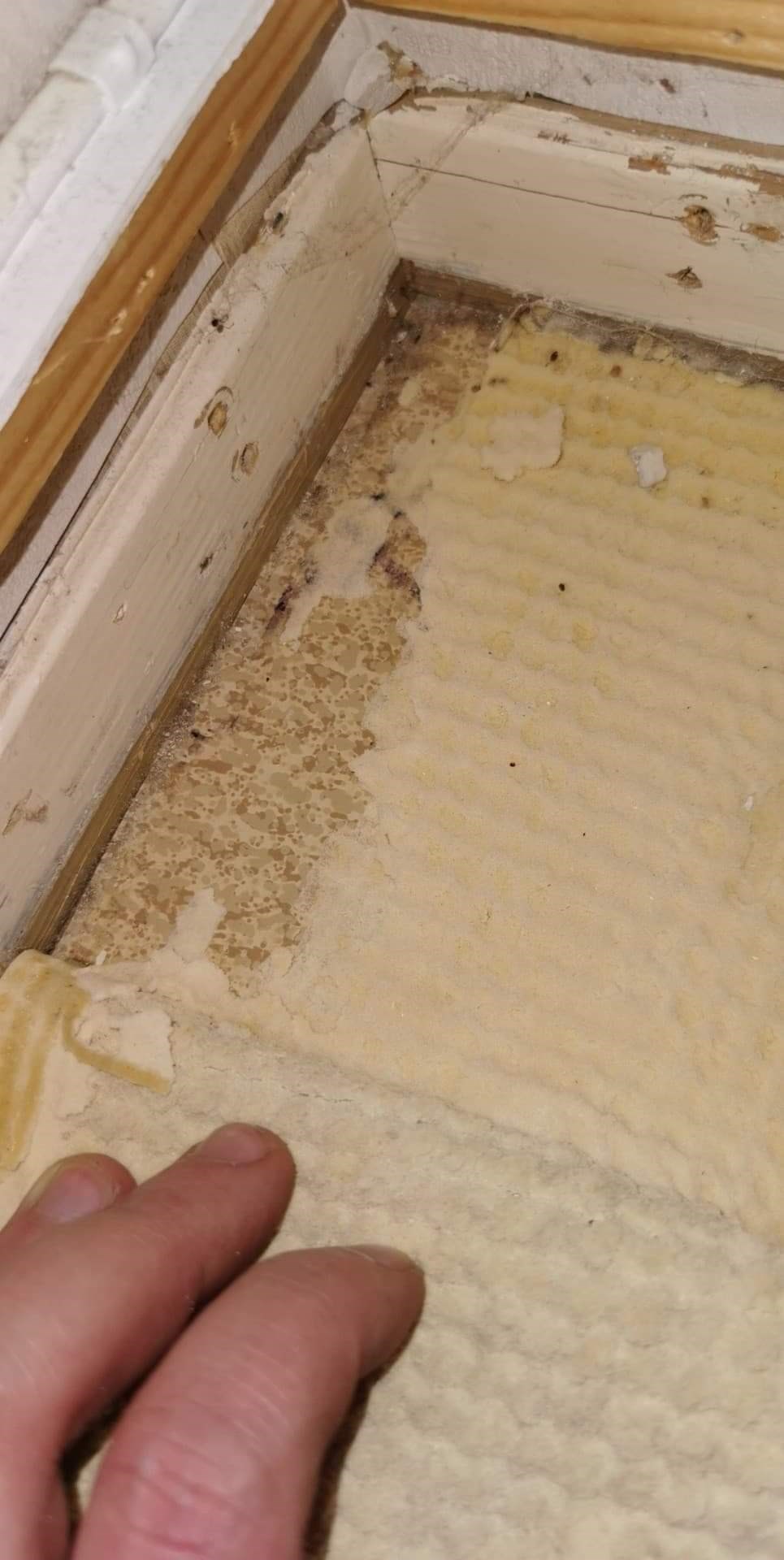 Min første bolig, trenger tips på å fjerne limrester etter gulvteppe ...