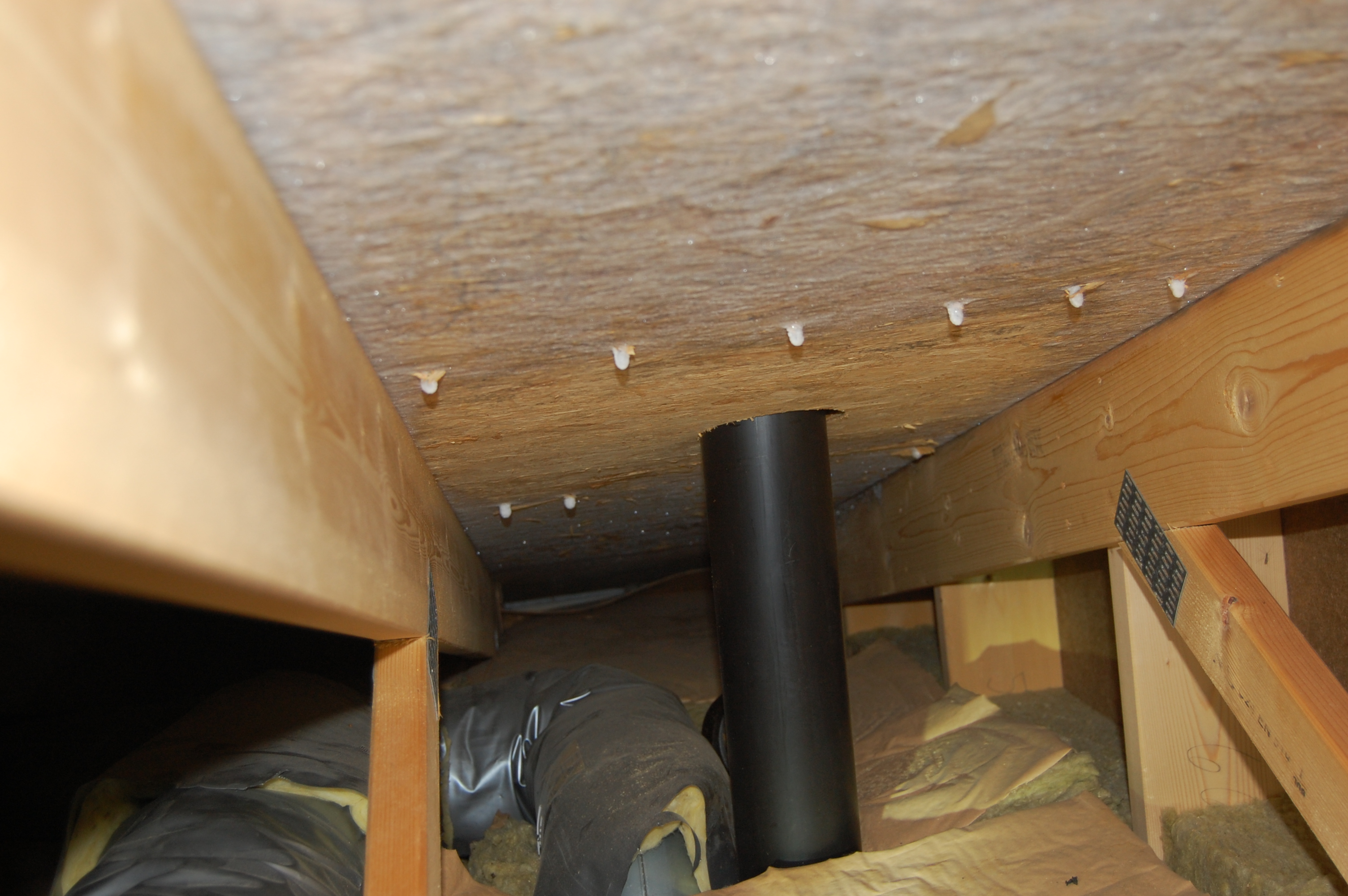 Kan dette være årsaken til fuktighet/sopp på kaldloft? - ByggeBolig
