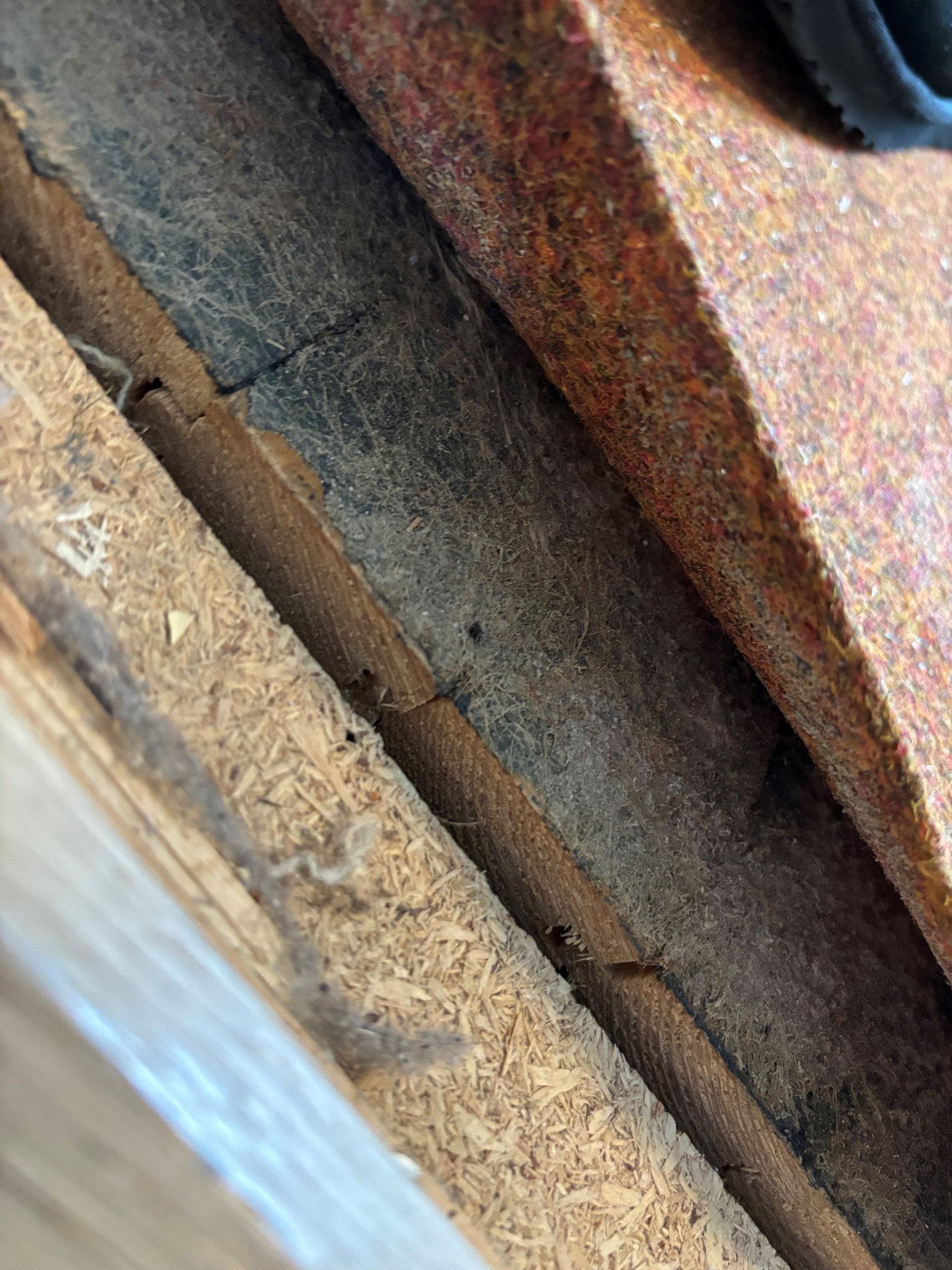 Fjerne gammelt gulvteppe - ByggeBolig