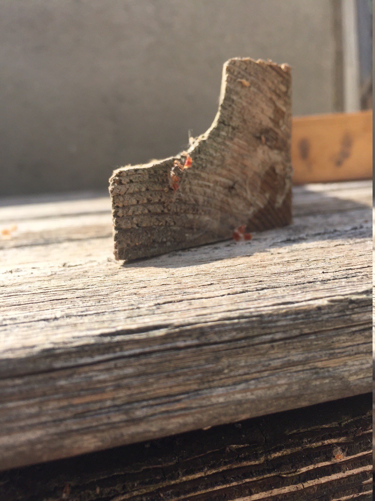 Frese en slik profil selv? - ByggeBolig