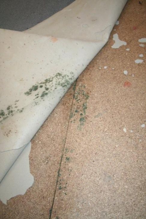 Fukt i gulv i kjeller - ByggeBolig