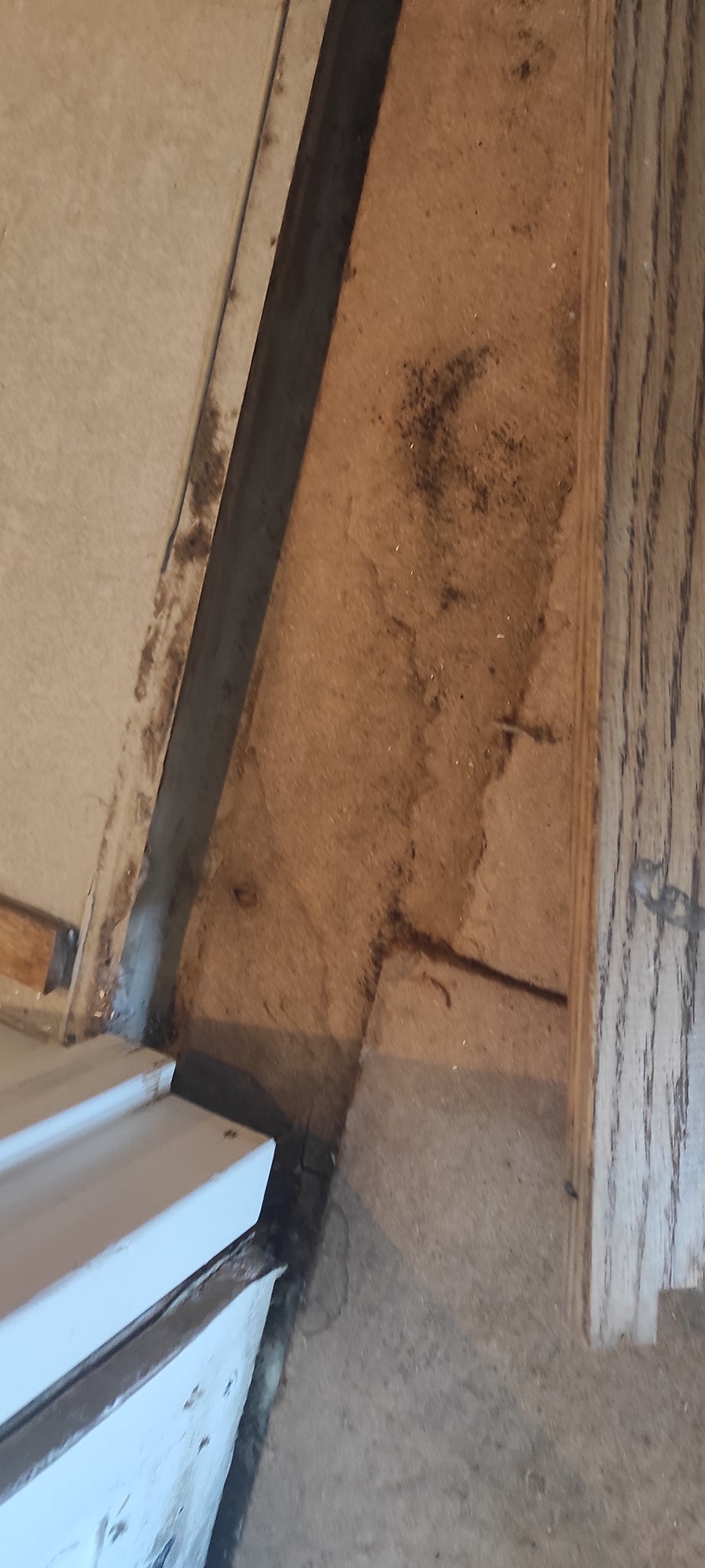 Vannskade gulv - ByggeBolig