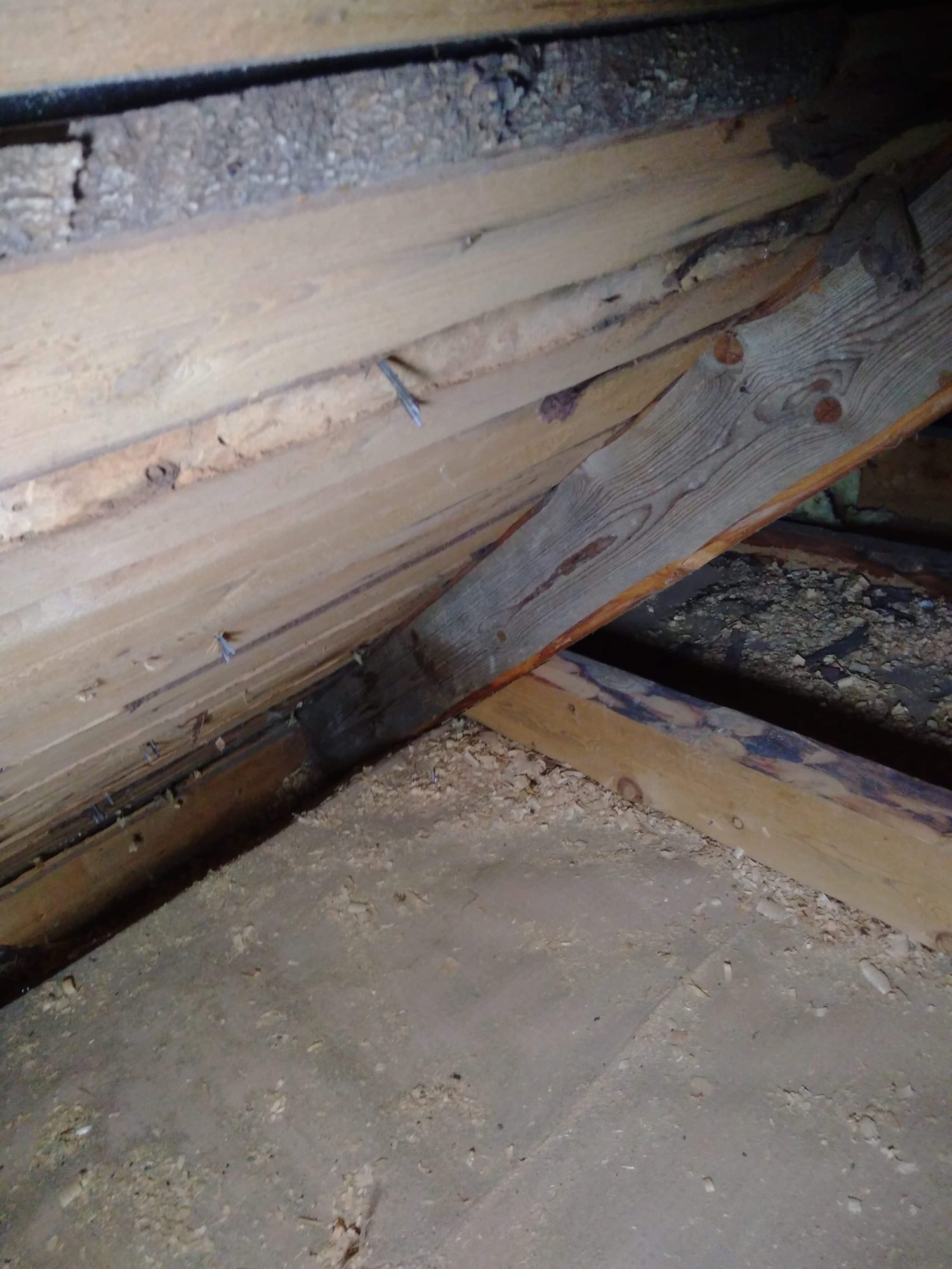 Isolere mot taktro på kaldloft? - ByggeBolig