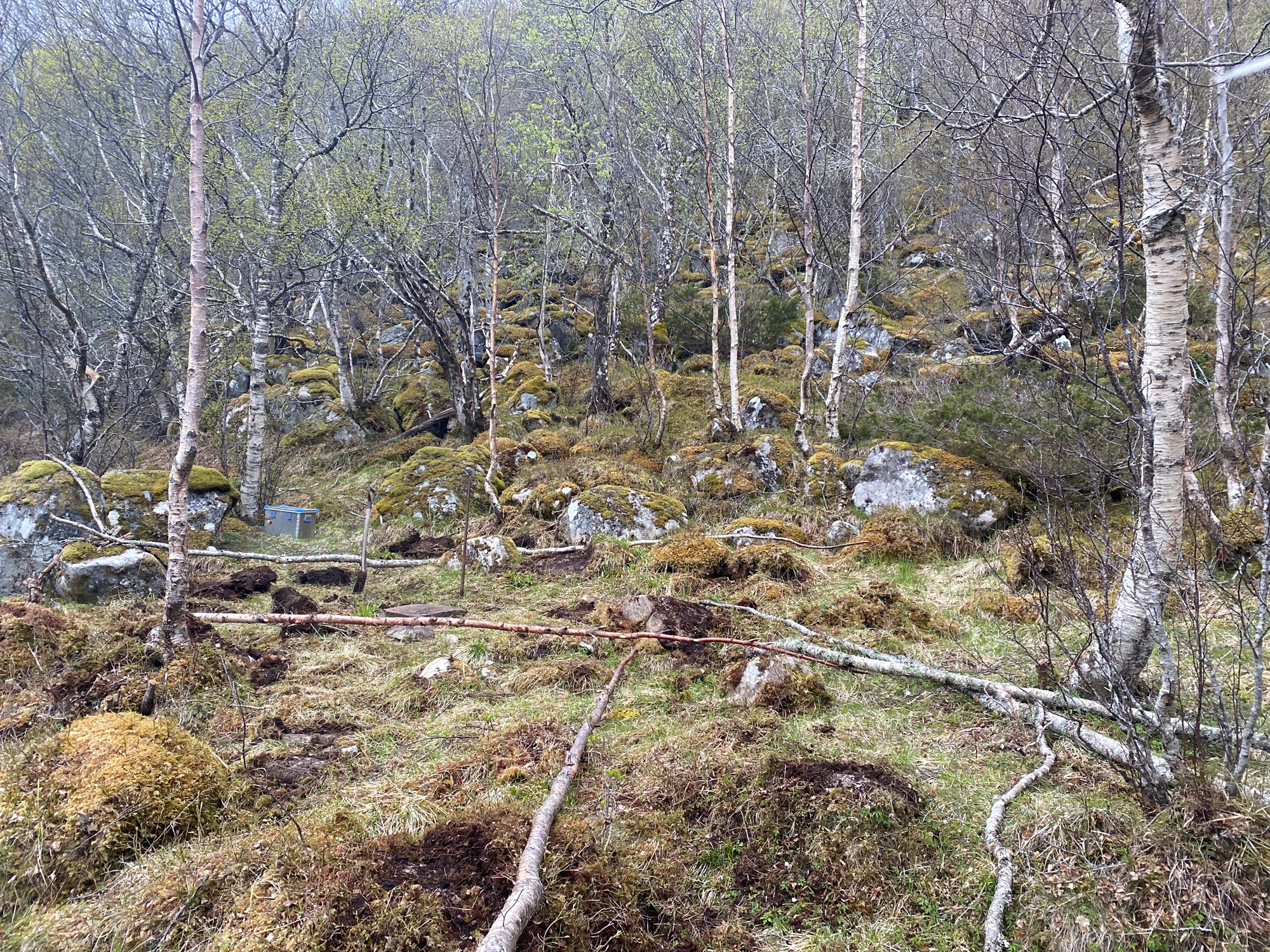 Fundamenter pilarer på store steiner - ByggeBolig