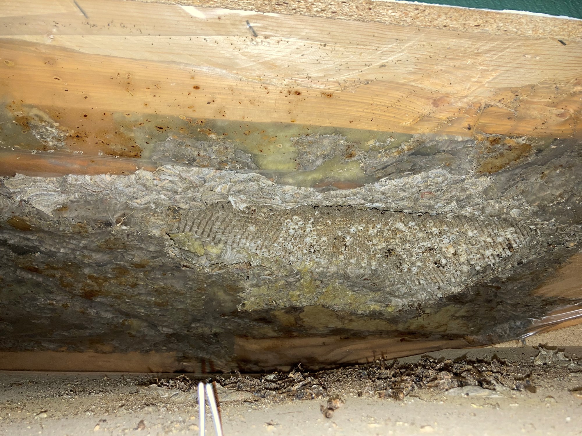 Fukt på kaldloft - ByggeBolig