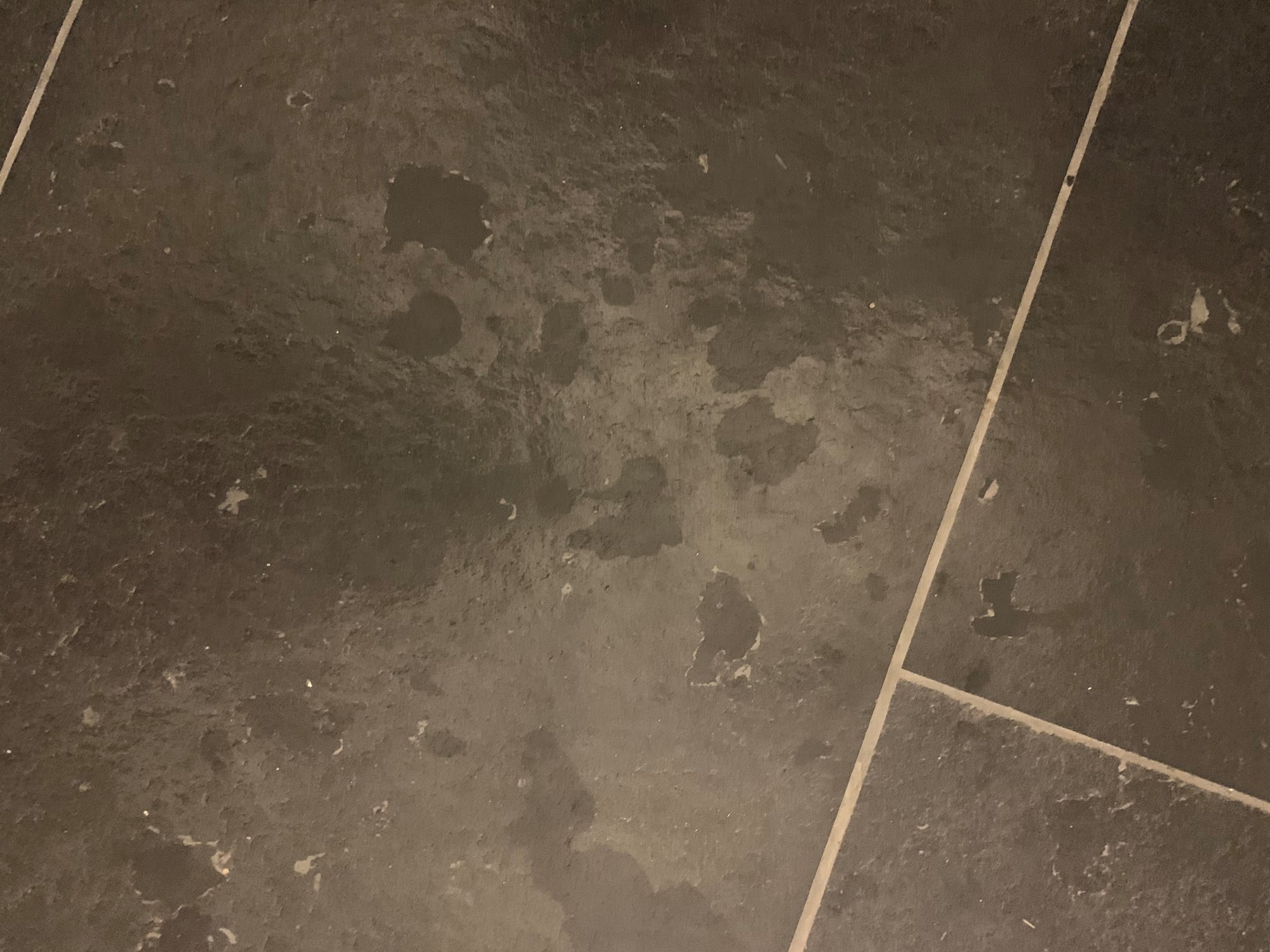 Trenger hjelp til å vurdere gulv - ByggeBolig