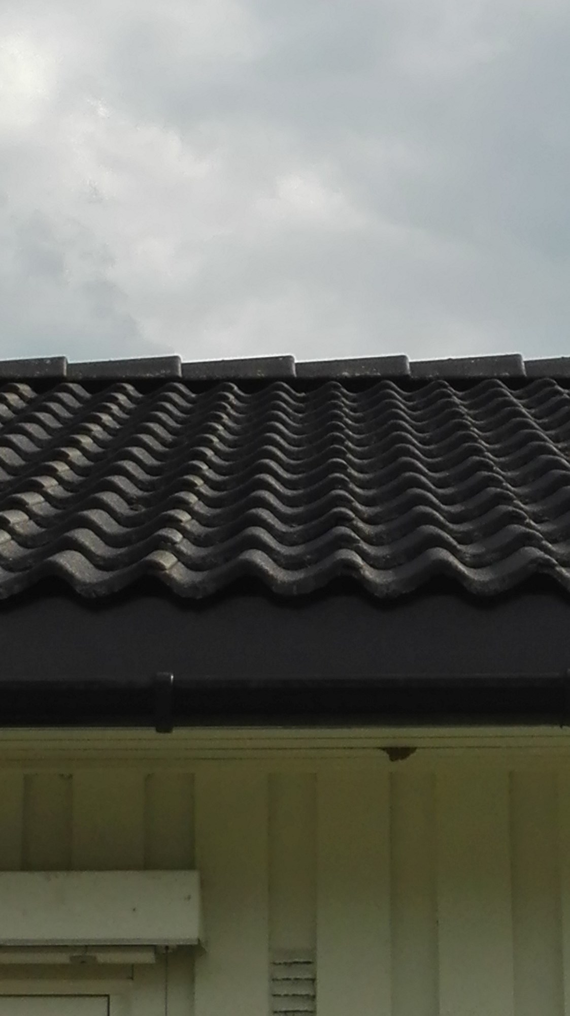 Gti tak mosefjerner - ByggeBolig