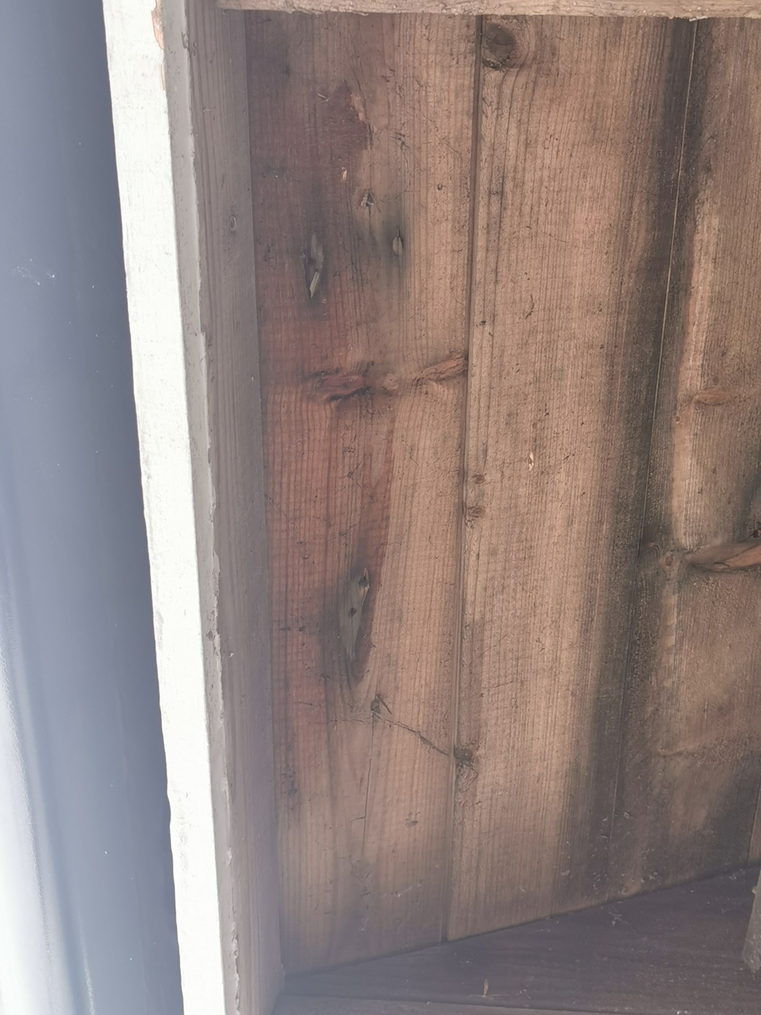 Kondens på kaldloft - ByggeBolig