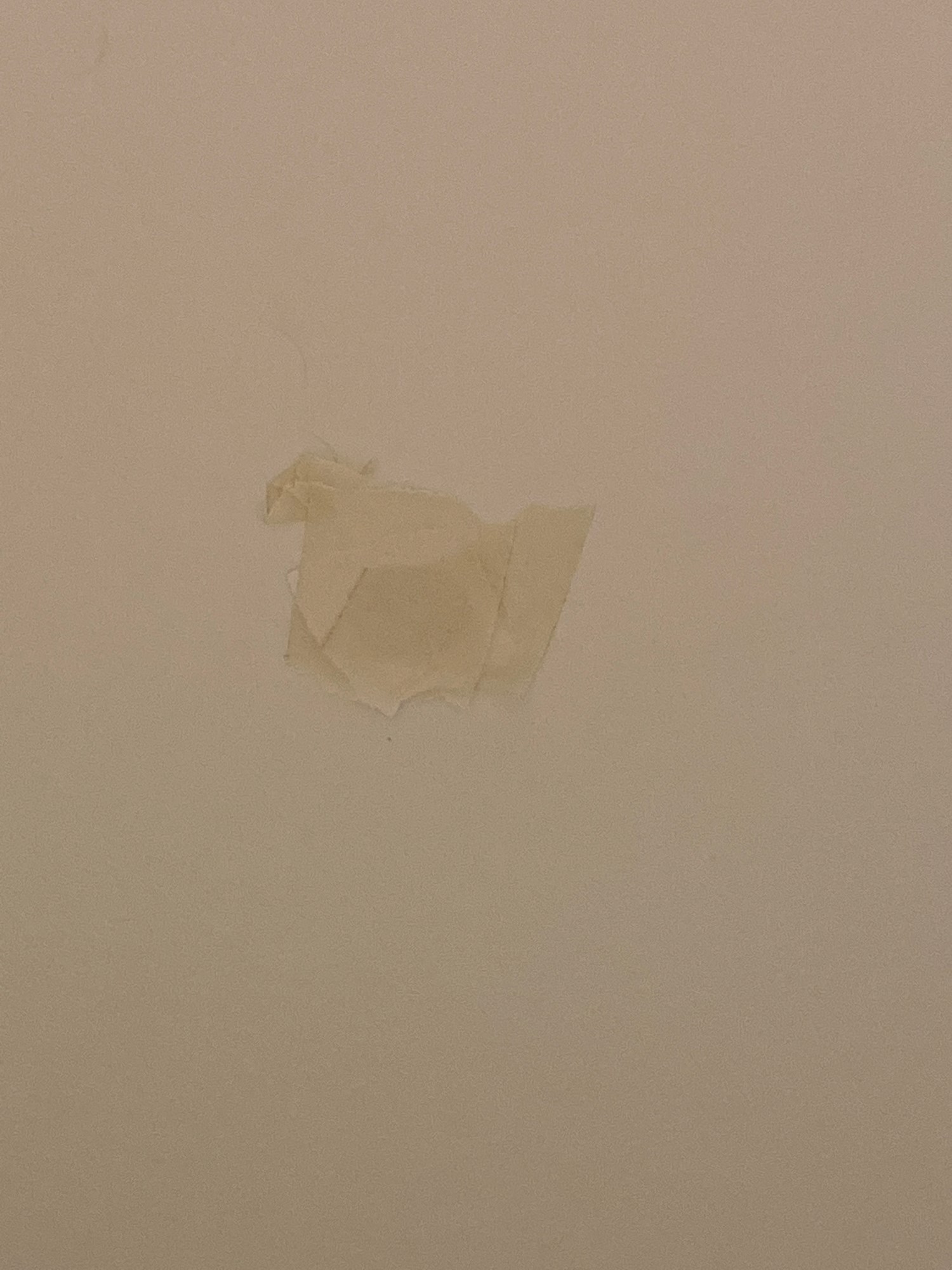 Hull i tak. Hvordan fikse? - ByggeBolig Hull i tak. Hvordan fikse? - ByggeBolig