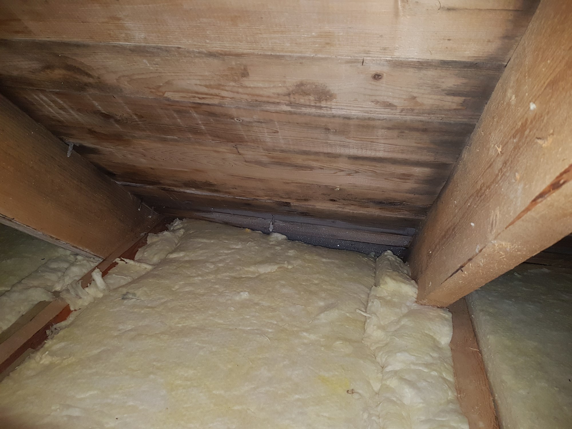 Kondens på kaldloft - ByggeBolig