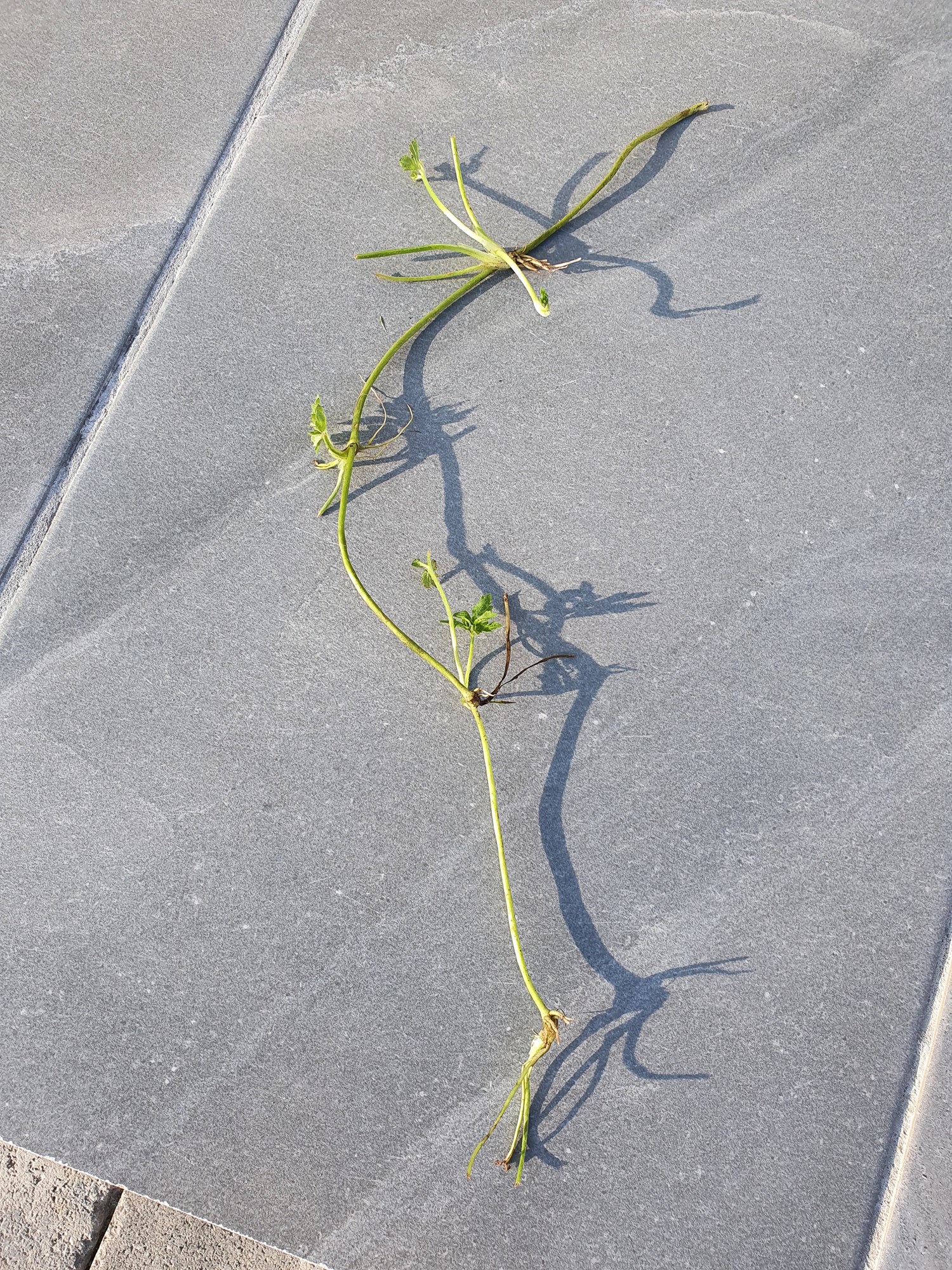 Type ugress - side 2 - ByggeBolig